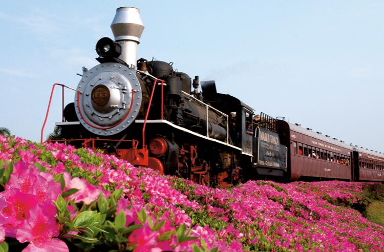 Destinos de Lua de mel no inverno – Dicas da Marisa